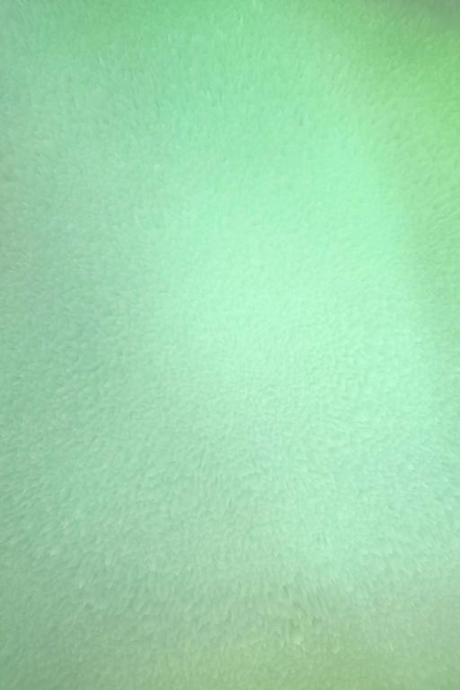 light-panda396: Pastel Watercolor Peony sea turtle, white background ...