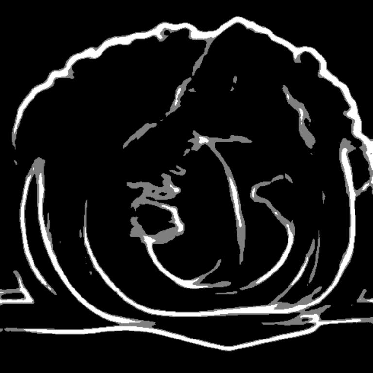 Foul-Rabbit: Witness the breathtaking and astonishing creation that ...