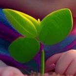 idolized-emu840: cute green sprouts shoots