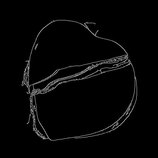 drafty-gull397: close up of a realistic broken heart split in 2 pieces ...